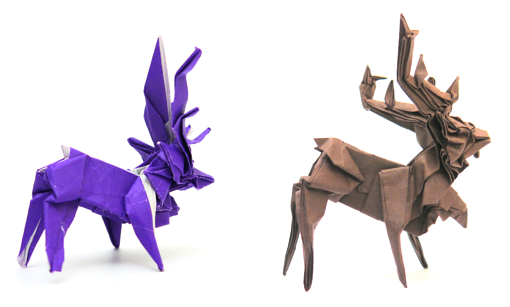 Reindeer Part 1 → PBS Origami